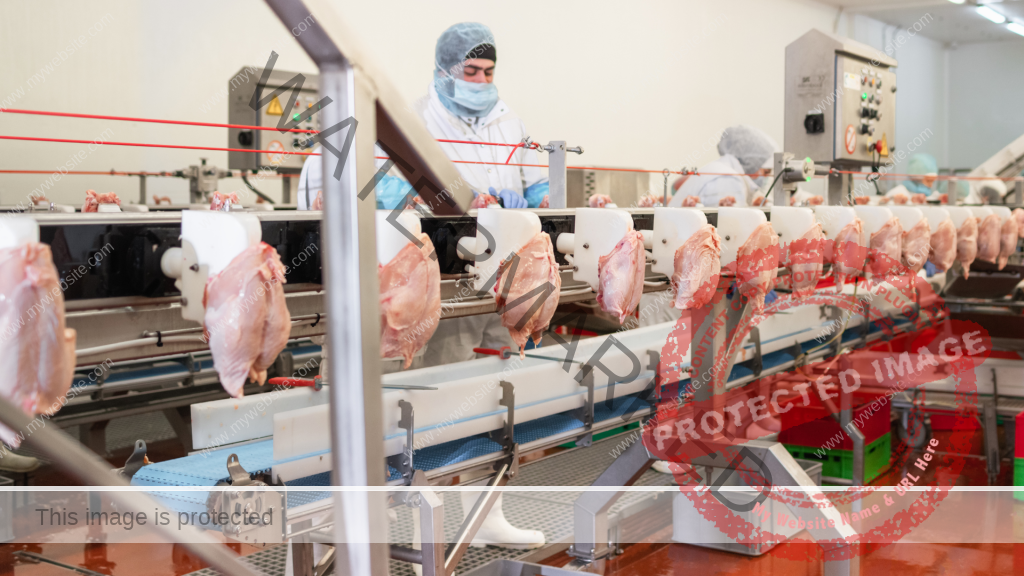 Frozen Chicken and Seafood Exporter | Wholesale Supplier